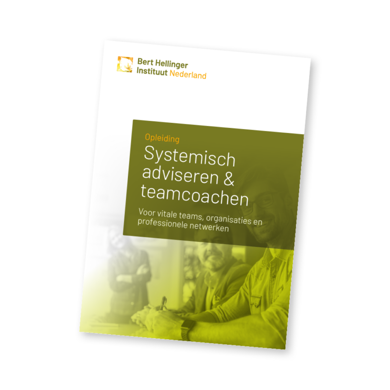 Opleiding Systemisch adviseren & teamcoachen | BHI